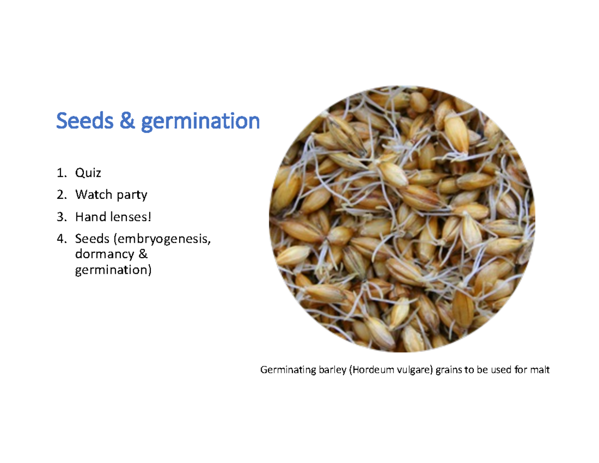 10 - LEcture notes from biology class - Seeds & germination Quiz Watch ...