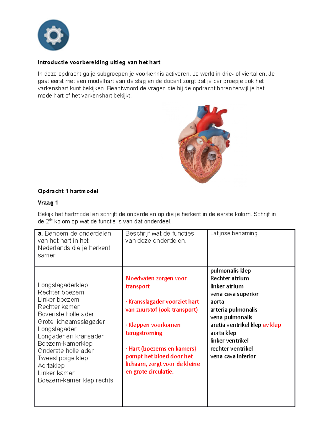 De bouw van hart en bloedvaten nakekeken - Introductie voorbereiding ...