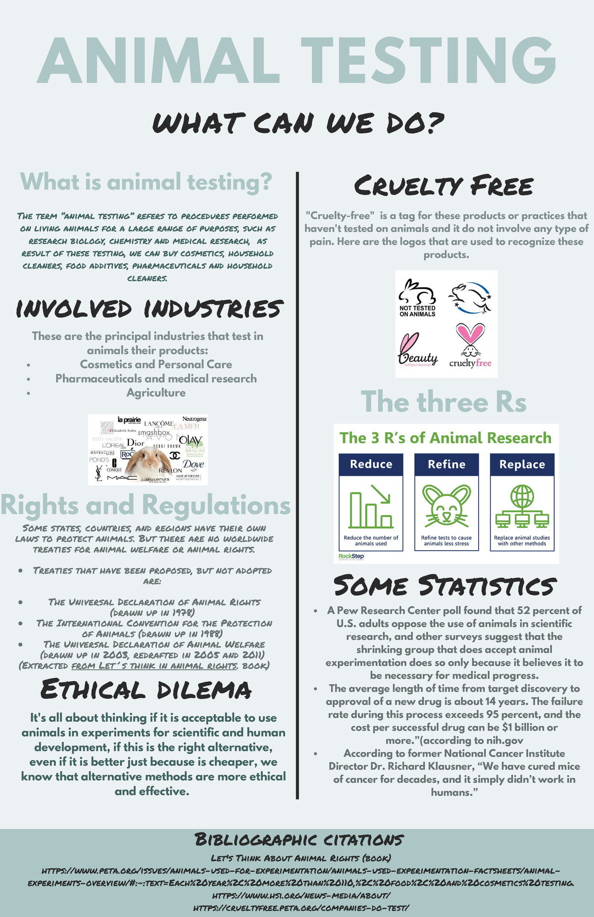 Animal Testing - Infografía - WHAT CAN WE DO? ANIMAL TESTING What is ...