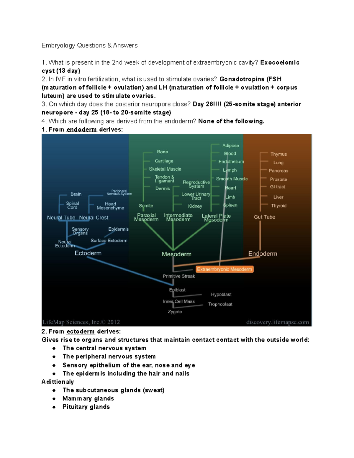 Sample/practice exam 2019, questions and answers - Embryology Questions ...