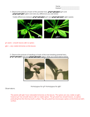 Exam review - Chapter 11 Chromosomes, Organization, and Ploidy ...