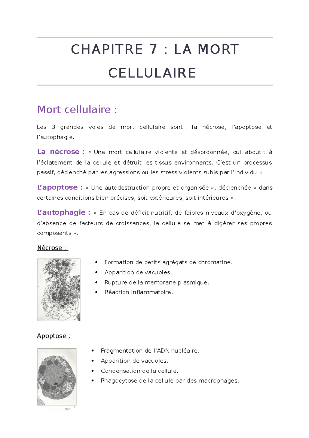 Chapitre 7 bio cell - CHAPITRE 7 : LA MORT CELLULAIRE Mort cellulaire ...