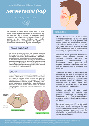 Formula ROJA Y Blanca Analisis - MATERIA: ANÁLISIS CLÍNICOS TEMA ...