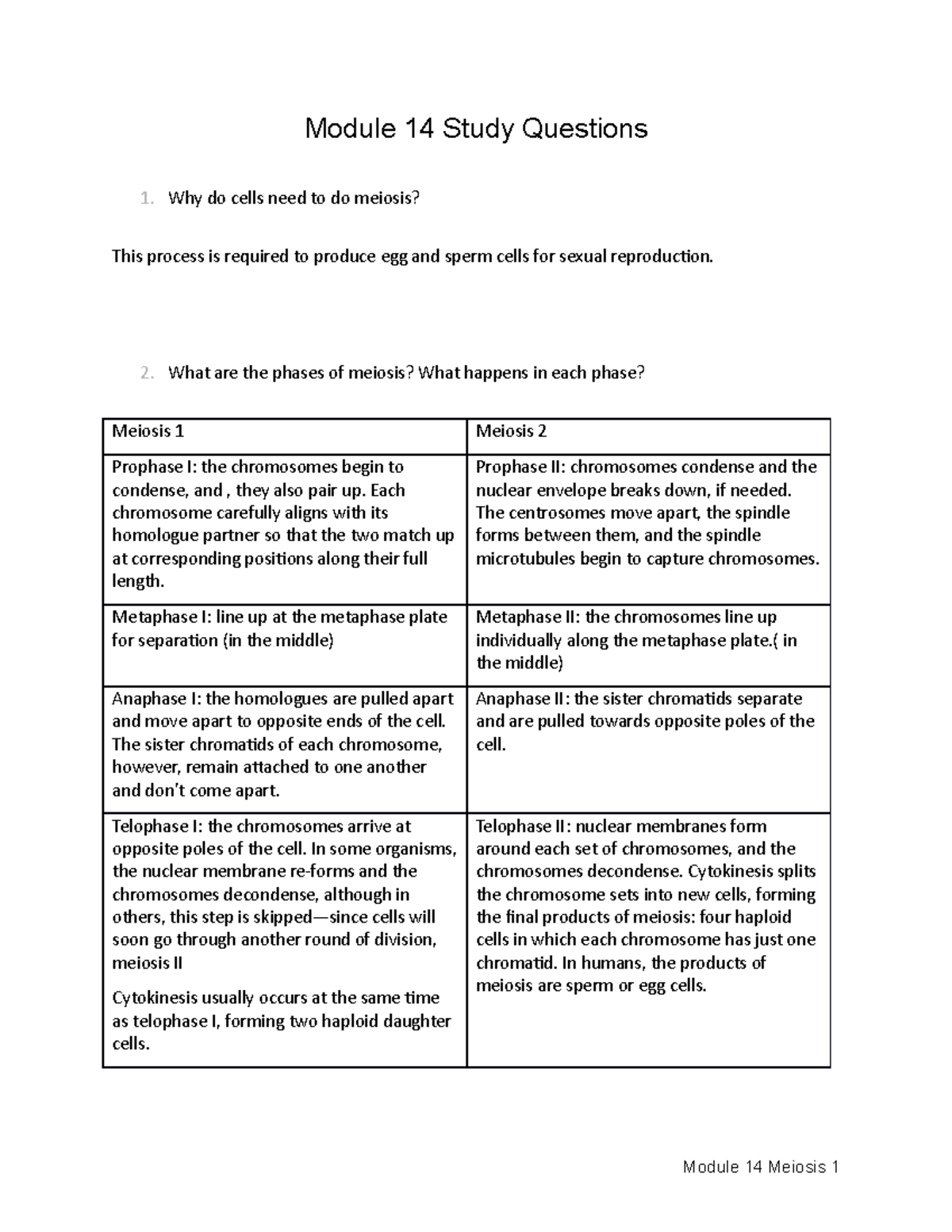 Module 14 Study Questions - Module 14 Study Questions Why do cells need ...