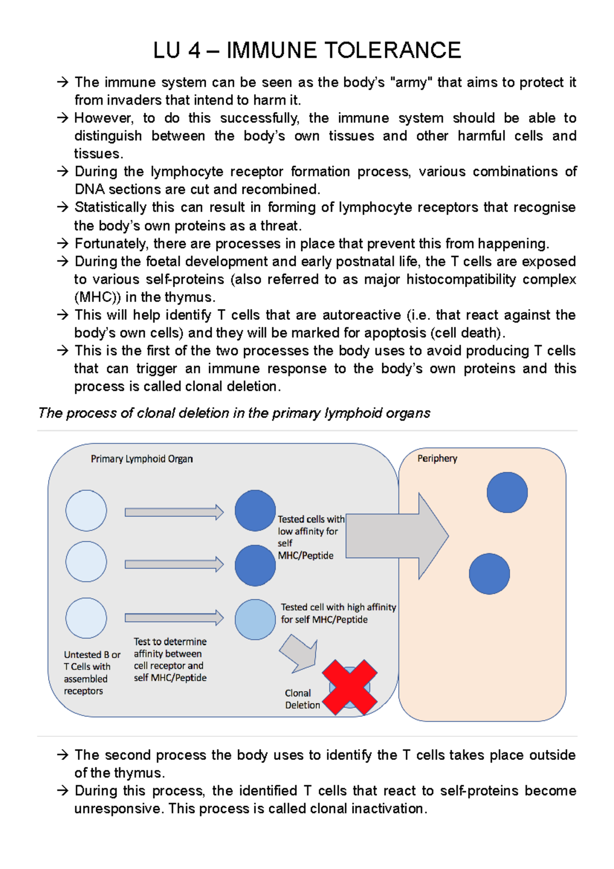 LU4 - Immunity in defence and diseases - LU 4 – IMMUNE TOLERANCE The ...