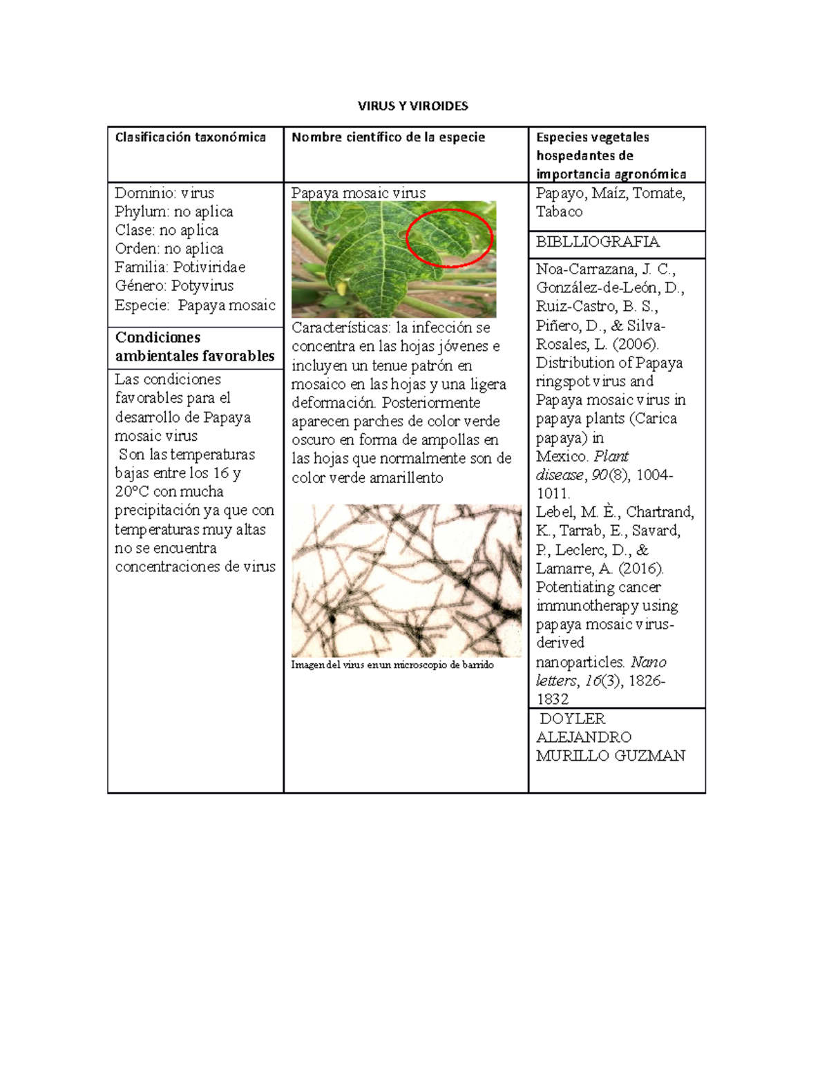 Virus Y Viroides - VIRUS Y VIROIDES Clasificación taxonómica Nombre ...