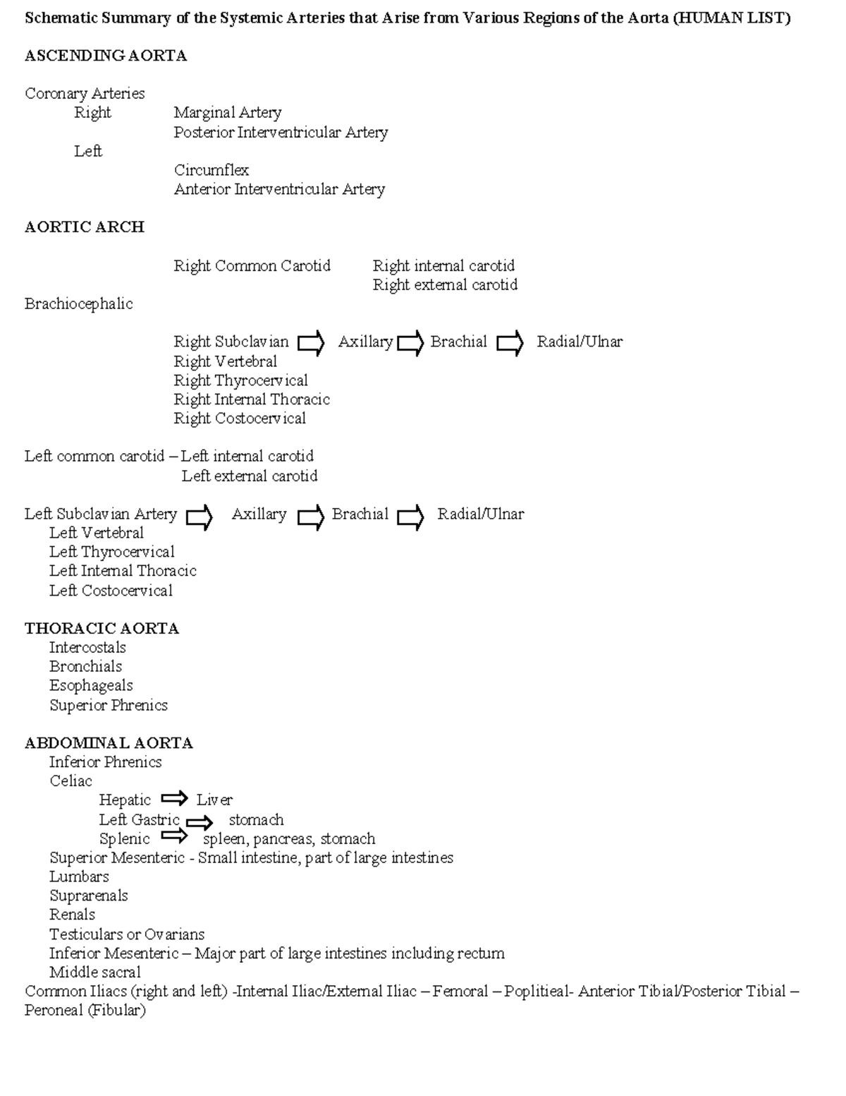 4. Human Vessel Schematic - Schematic Summary of the Systemic Arteries ...