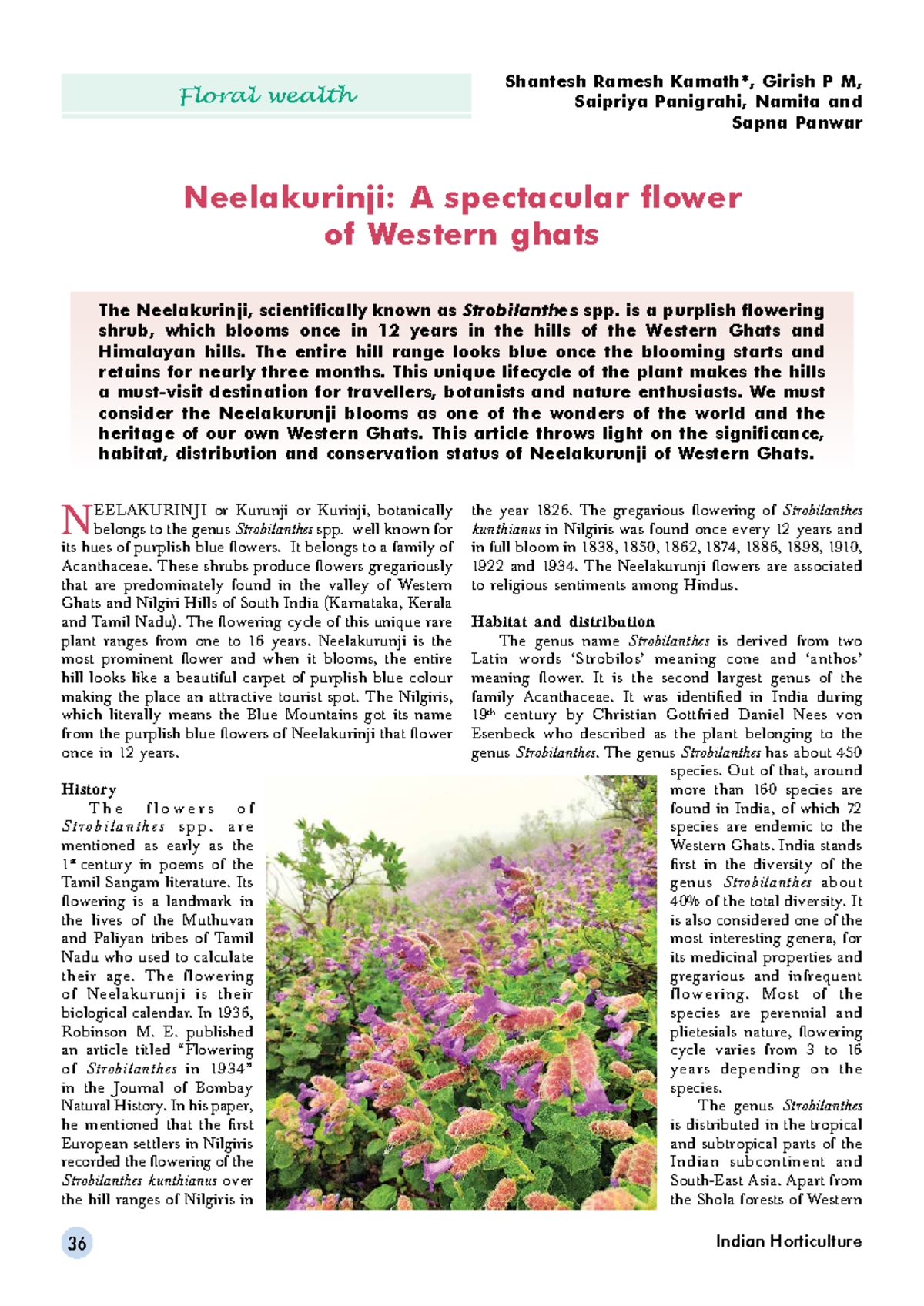 11+Neelakurinji+A+spectacular+flower - 36 Indian Horticulture ...