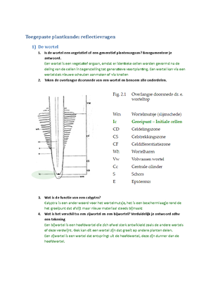 Samenvatting plantkunde dicotylen - MORFOLOGIE DICOTYLEN 2 Inleidende ...