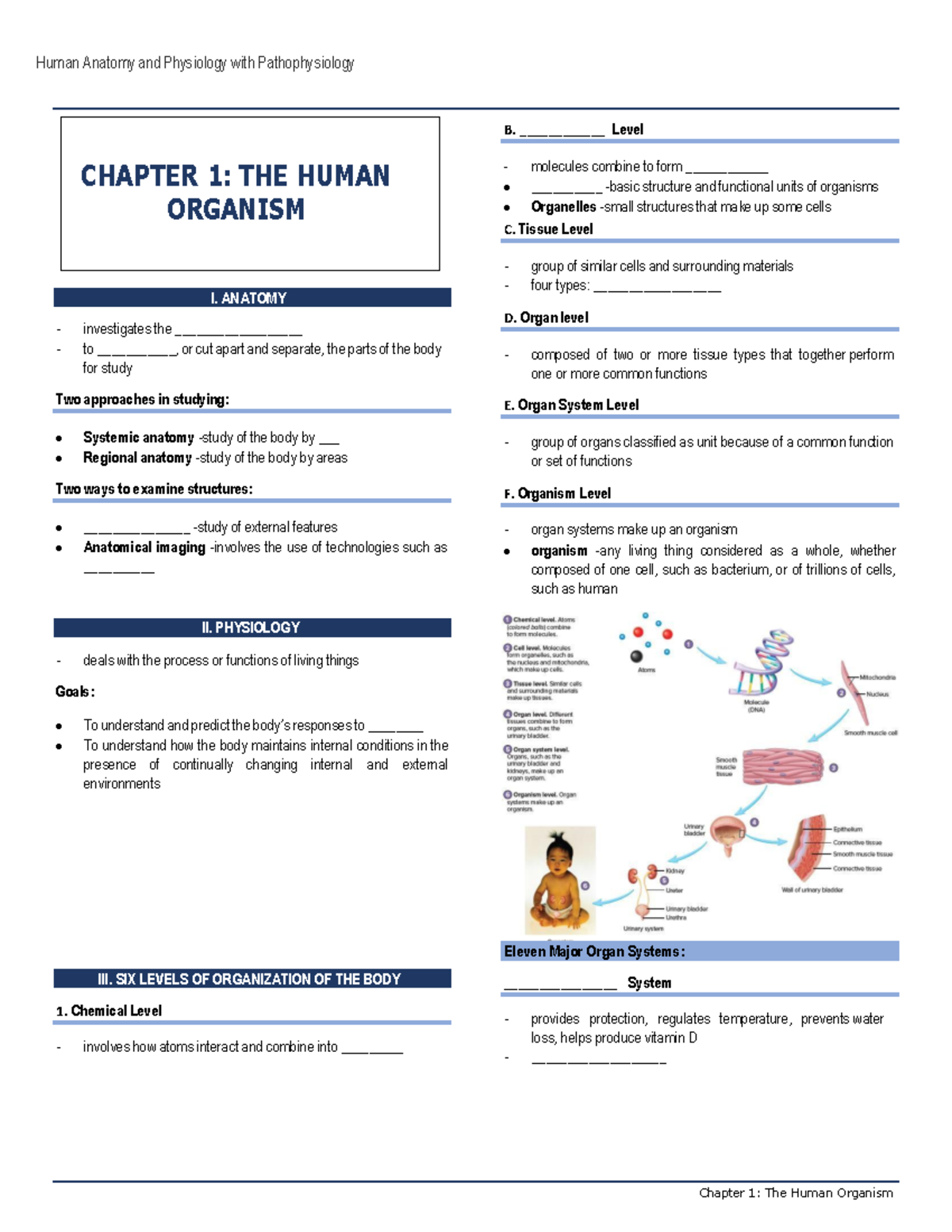 HAPP Chapter 1 Students COPY - Human Anatomy and Physiology with ...