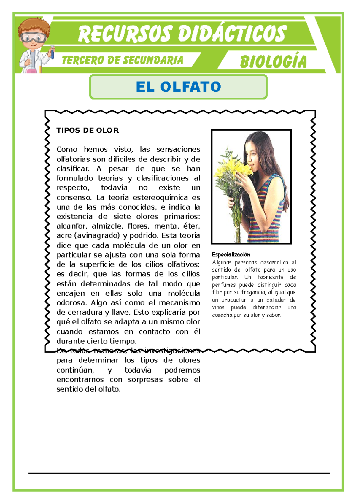 El Olfato para Tercero de Secundaria - EL OLFATO TIPOS DE OLOR Como ...