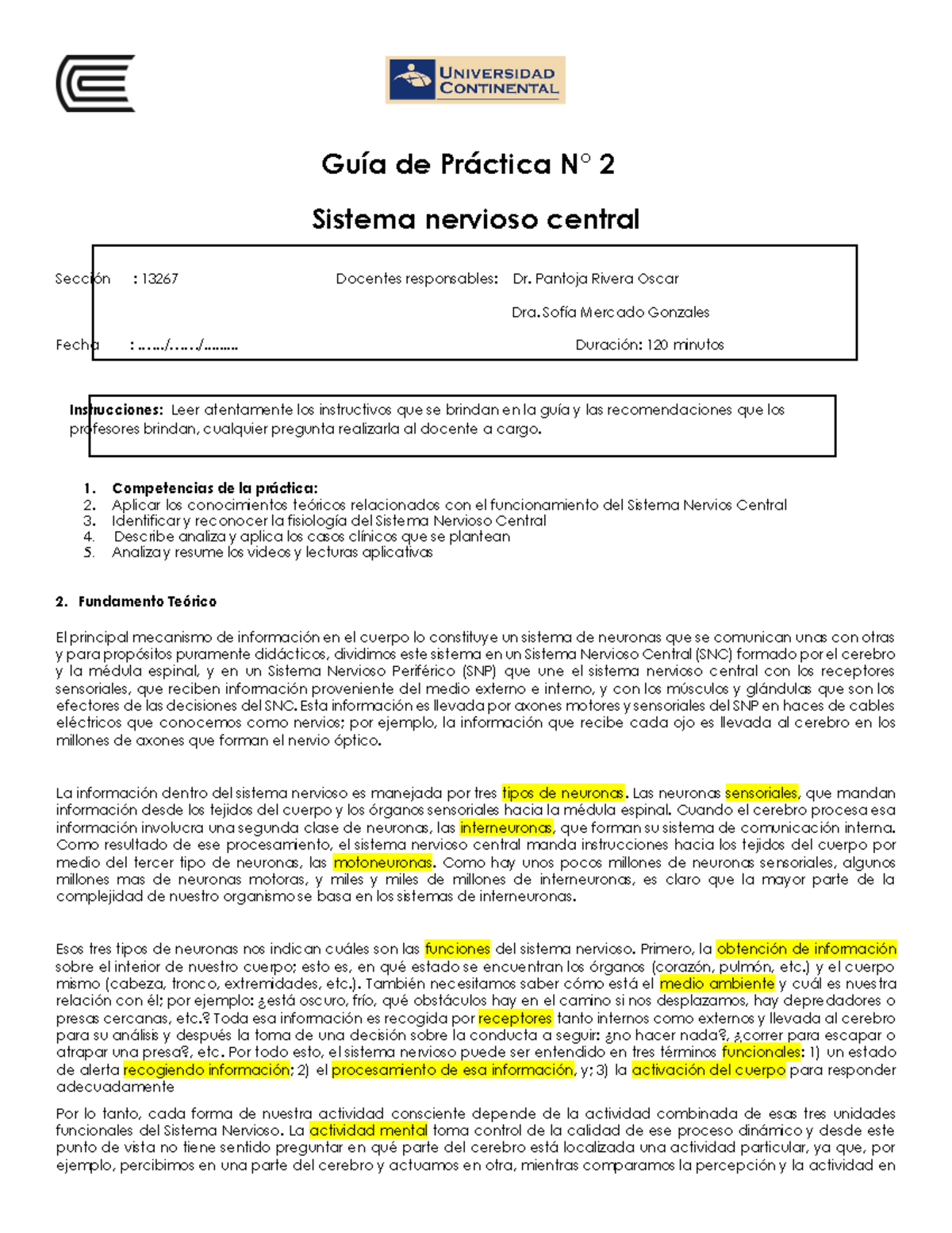 GUÍA DE Practicas No. 2 - GuÌa de Pr·ctica N∞ 2 Sistema nervioso central SecciÛn : 13267 ...