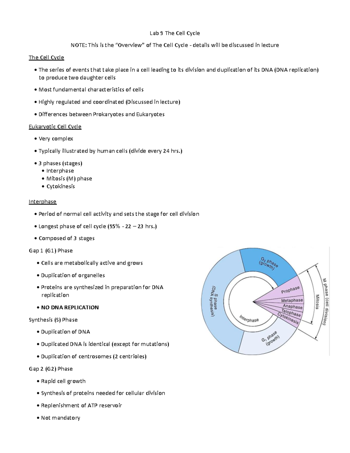 Lab 9 The Cell Cycle Lab Notes Lab 9 The Cell Cycle NOTE This Is The lab-9-the-cell-cycle-lab-notes-lab-9-the-cell-cycle-note-this-is-the
