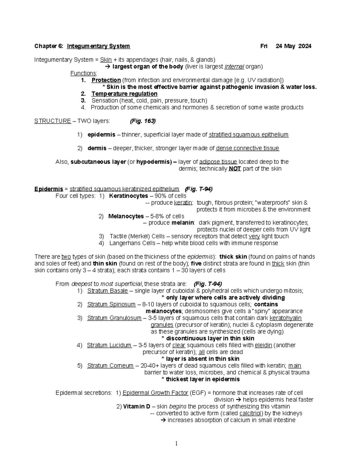 Notes 220ch - Chapter 6: Integumentary System Fri 24 May 2024 ...