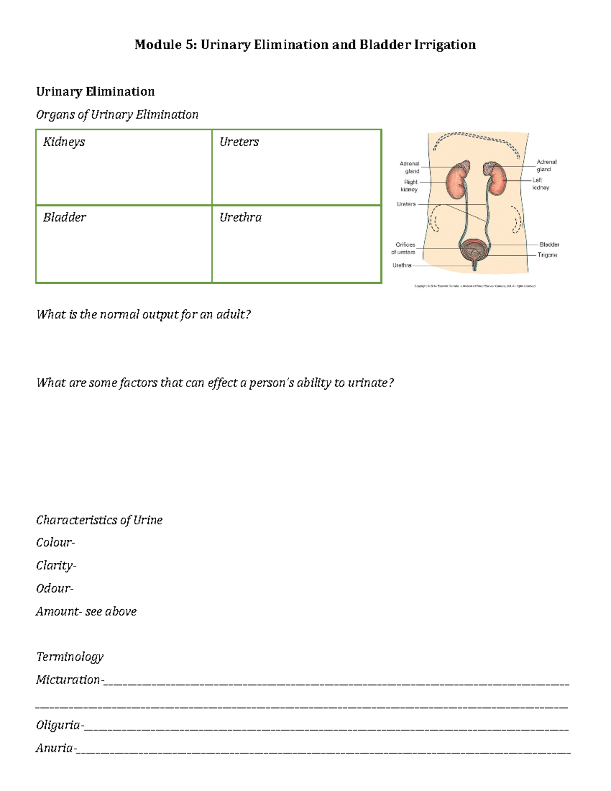 Module 5 Learning Activity - Module 5: Urinary Elimination and Bladder ...