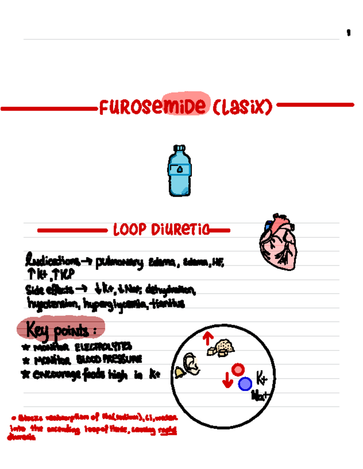 Furosemide - NUR2221 - 1 FUROSEMIDE (Lasix) LOOP DiUReTic Indications ...