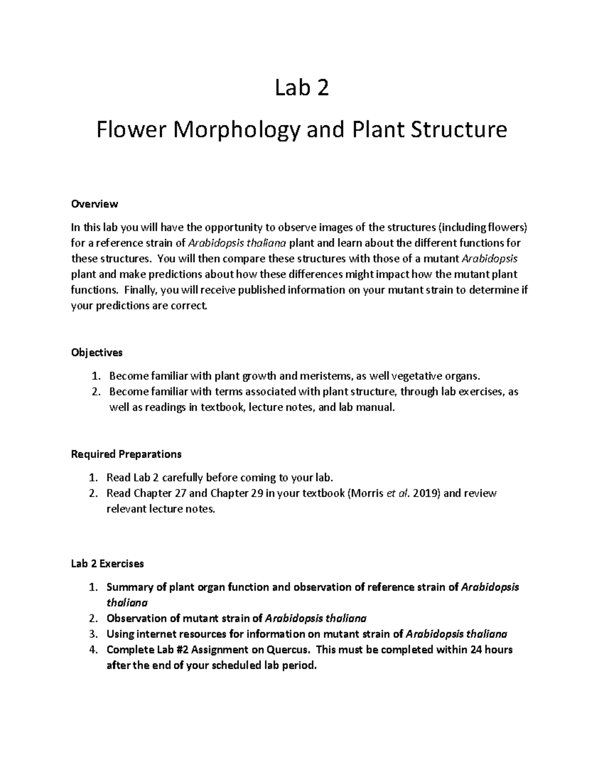 Lab 2 Flower morphology and plant structure - Lab 2 Flower Morphology ...