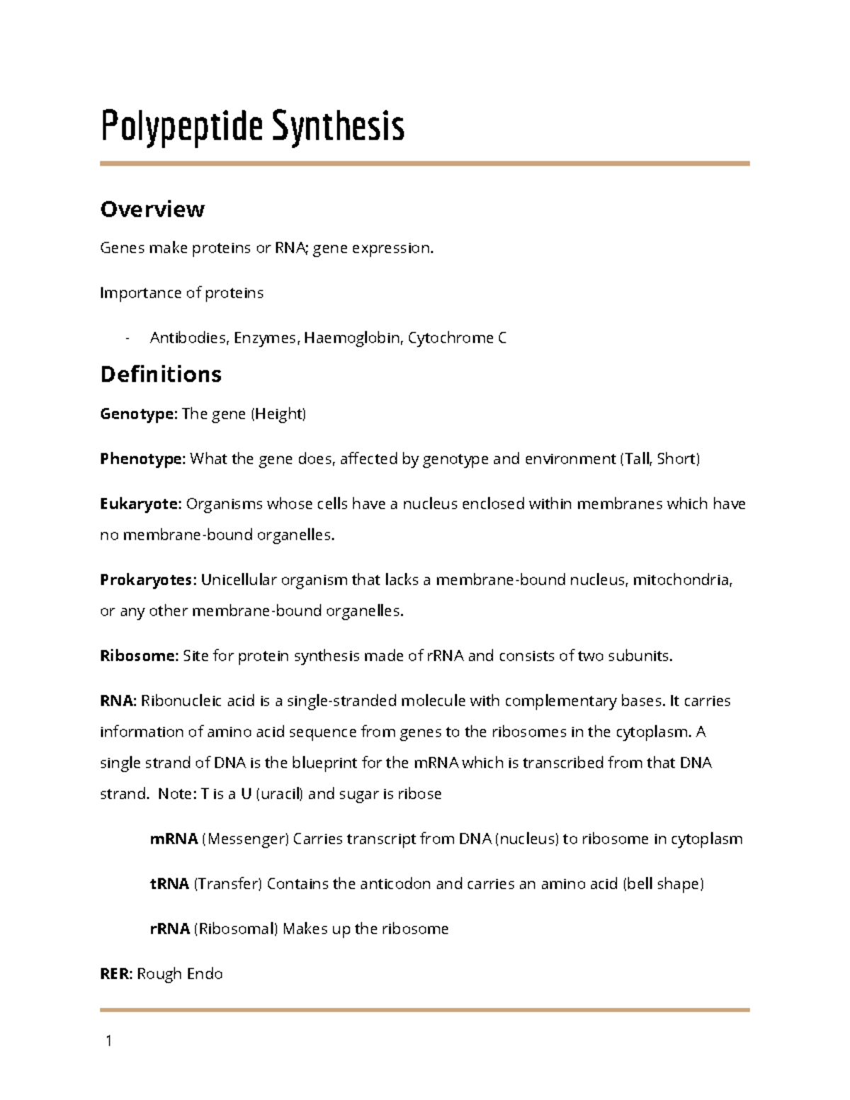Biology Summaries of polypeptide synthesis - Polypeptide Synthesis ...