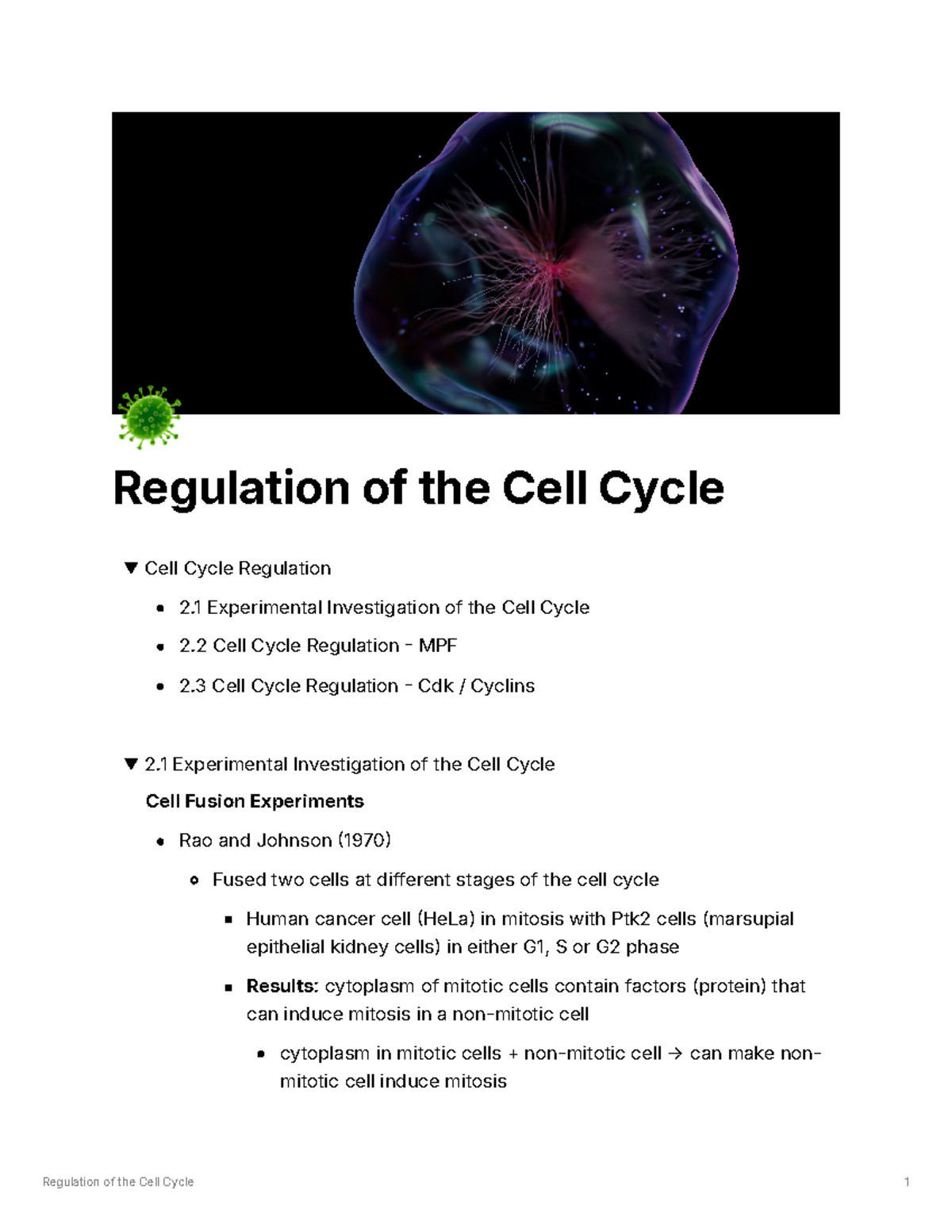 Regulation of the Cell Cycle - 🦠 Regulation of the Cell Cycle Cell ...