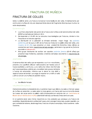 Epitroclea - fractura, clasificacion, diagnostico y tratamiento ...
