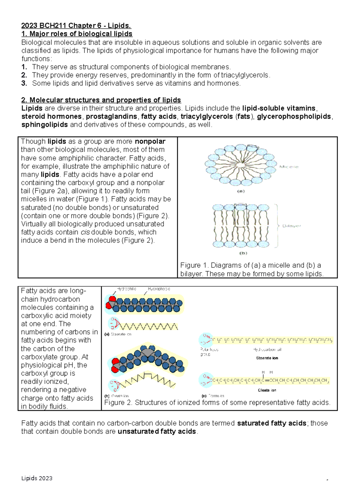 2023 BCH211 Lipids Chapter 5 - 2023 BCH211 Chapter 6 - Lipids. Major ...
