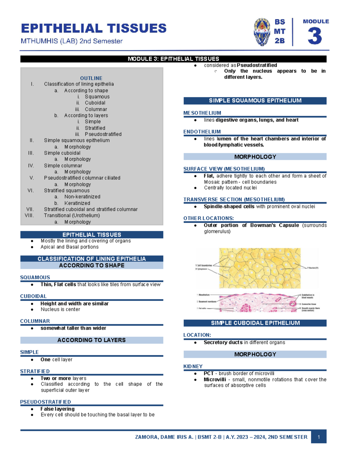 Histo LAB MOD 3 - MODULE 3: EPITHELIAL TISSUES OUTLINE I ...