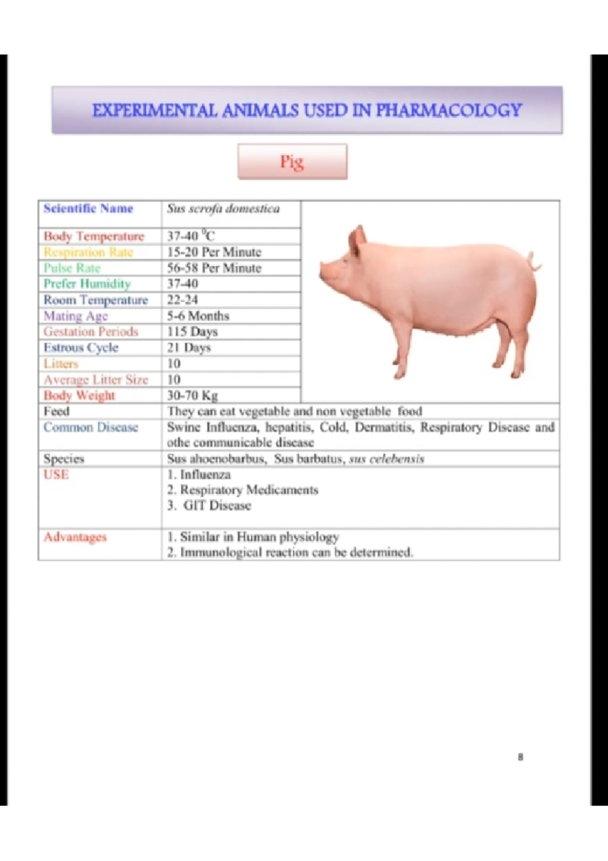 Experimental animal - Pharmacy - Studocu