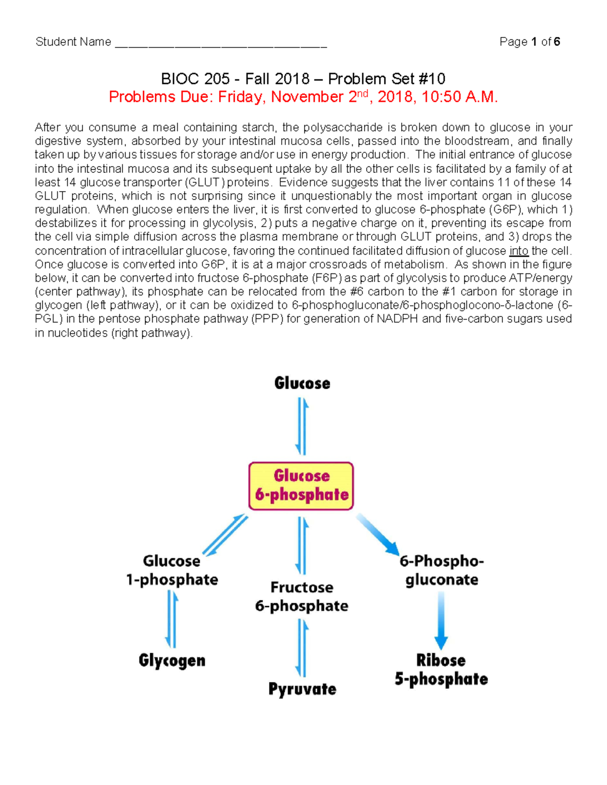 BIOC 205 - Fall 2018 - Problem Set #10 - Student Name Page 1 of 6 BIOC ...