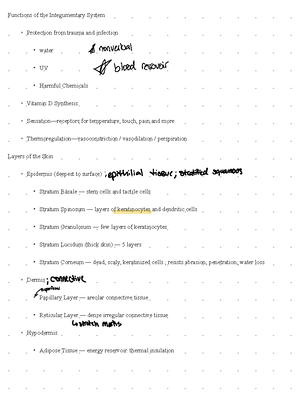 Lab Practicum Study Guide BIOS 255 - BIOS-255 - AB 7 A B I 2 3 1 2 Neutrophil 3 4 lobes ...