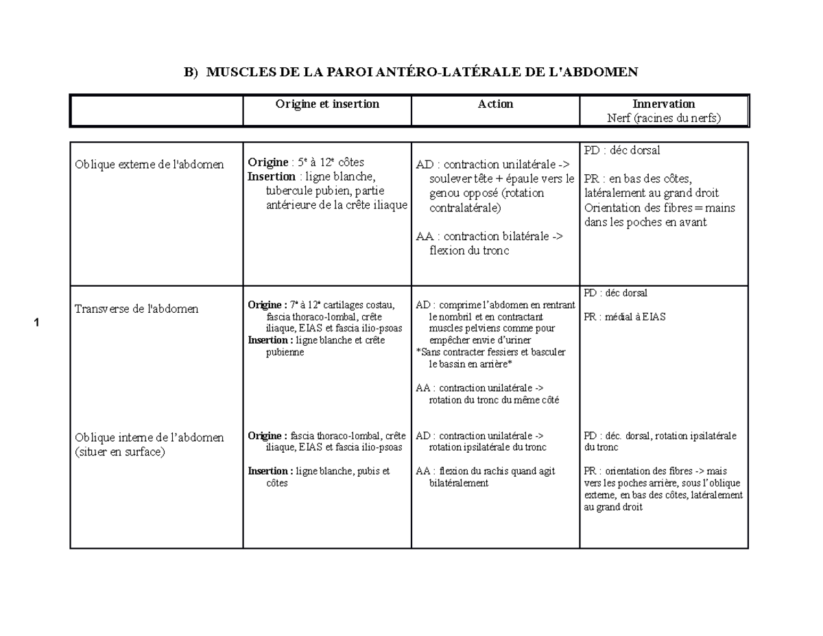 Examen palpation - B) MUSCLES DE LA PAROI ANTÉRO-LATÉRALE DE L'ABDOMEN ...