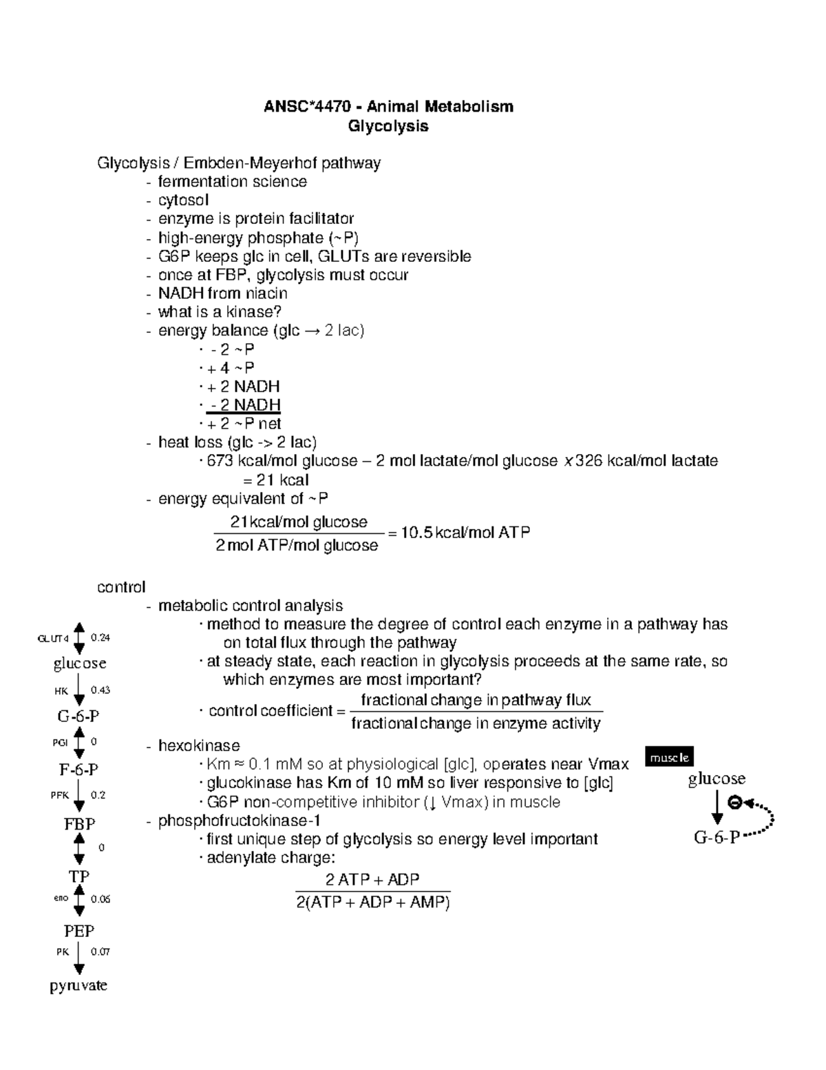 Ans 447 glycolysis - ANSC*4470 - Animal Metabolism Glycolysis ...