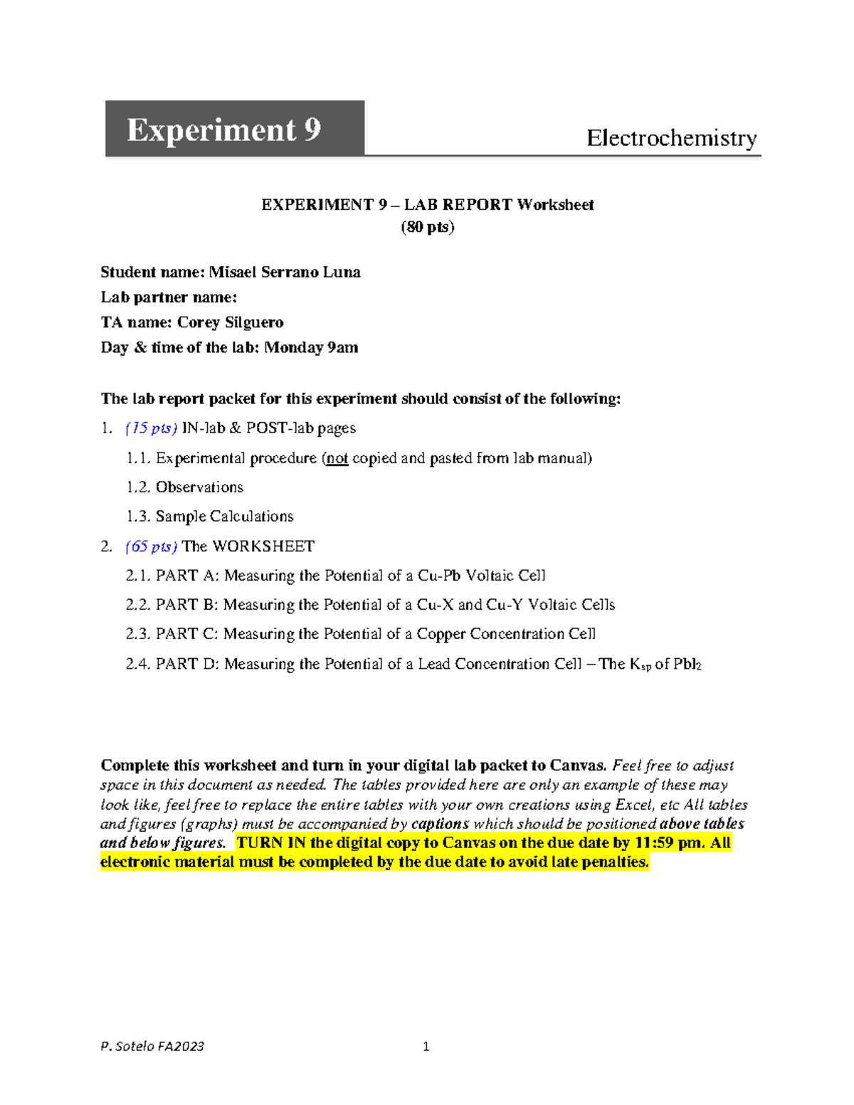 E9 electrochemistry Report, 100% - EXPERIMENT 9 – LAB REPORT Worksheet ...