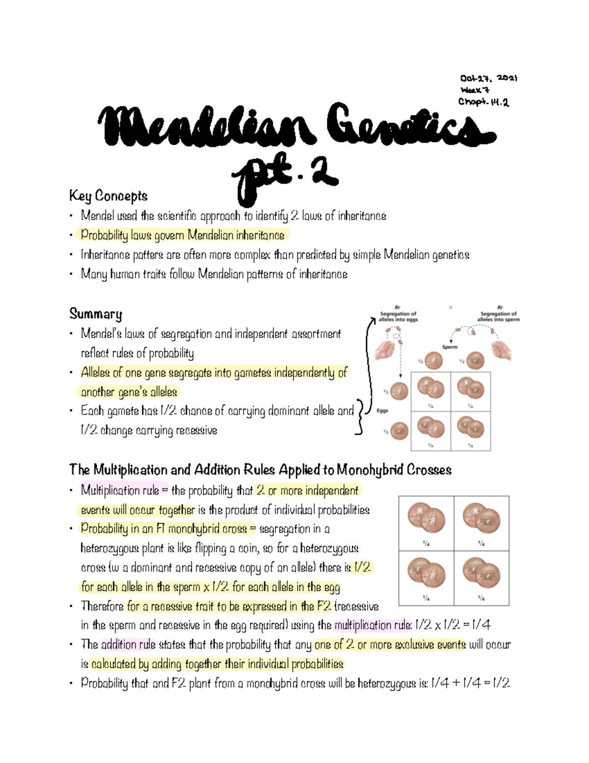 Week 7 - BIOL 102 Mendelian Genetics, probability law - Key Concepts ...