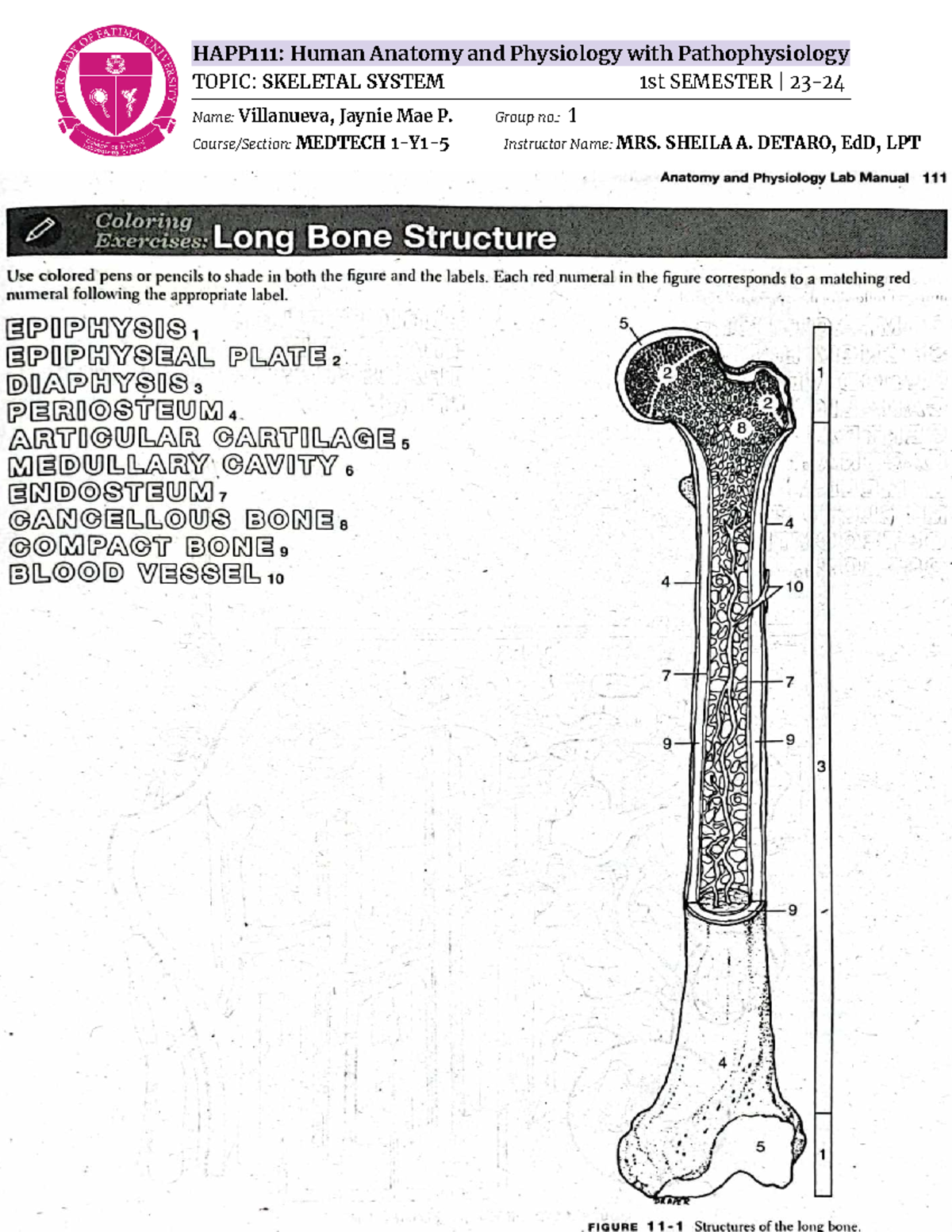 Copy-of-HAPP111 - HAPP111: Human Anatomy and Physiology with ...