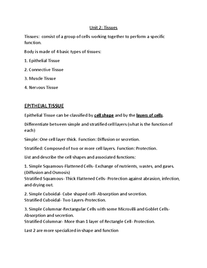Cerebrum Worksheet - Cerebrum Worksheet Identify and label the ...