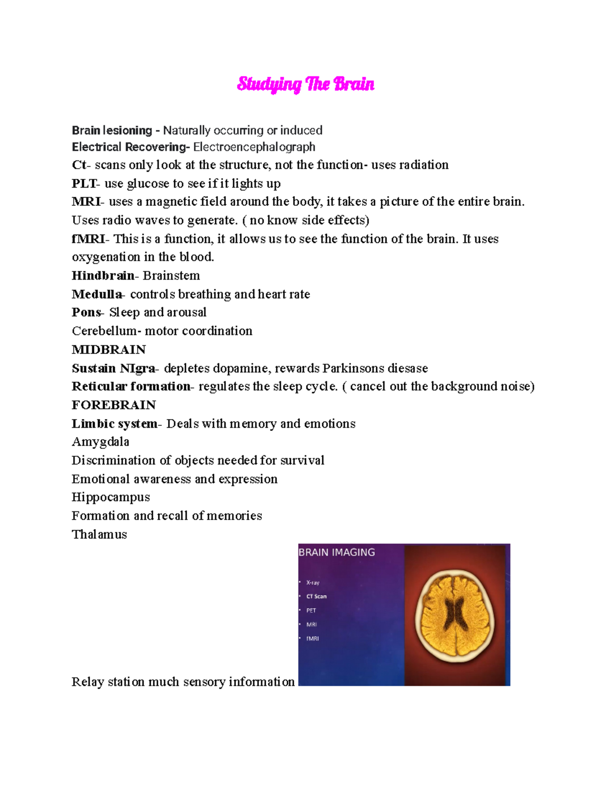 Studying The Brain - lecture notes that I wrote and helped on the exams ...