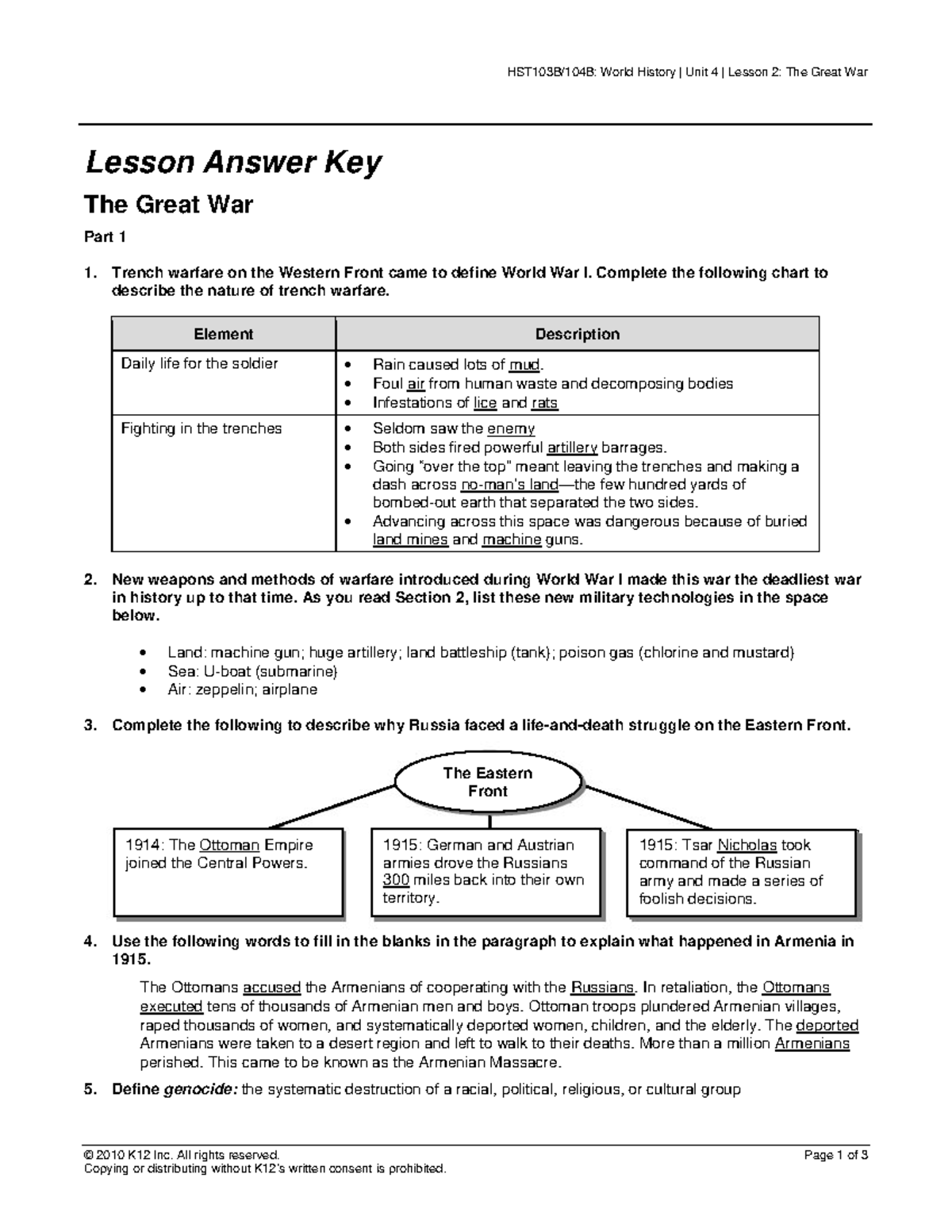 The Great War - History assignment completed all questions answered ...