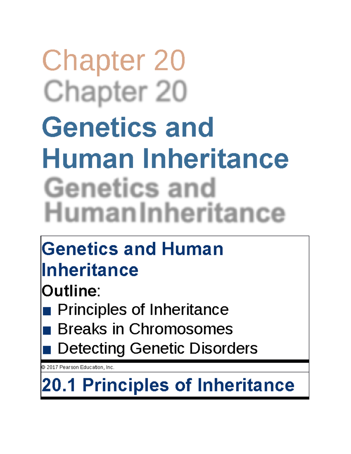 BIO 140 Chapter 20 Genetic and Human Inheritance - Chapter 20 Genetics ...