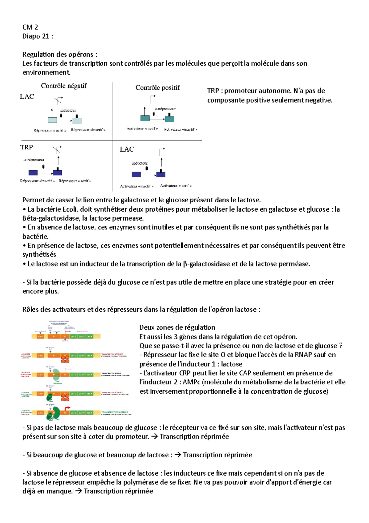 CM 2 - cours de deuxième années d'expression des génomes de l'UPVD ...