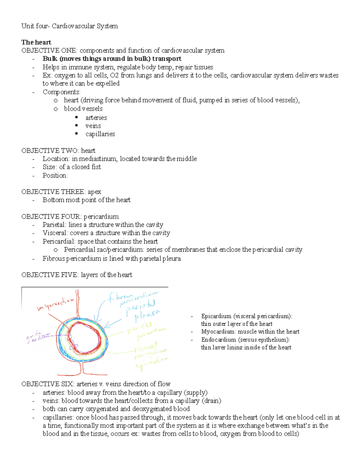 Unit 4 - Lecture notes 4 - Unit four- Cardiovascular System The heart ...