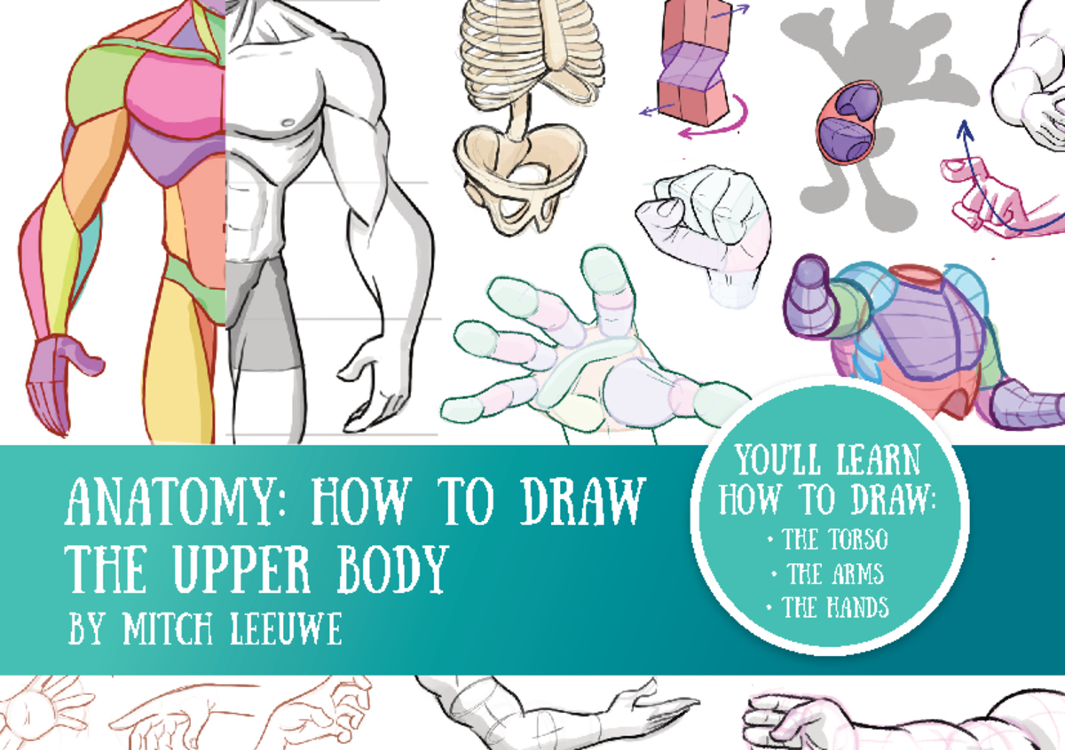 Anatomy How to draw the upper body by Mitch leeuwe - ####### YOU'LL ...