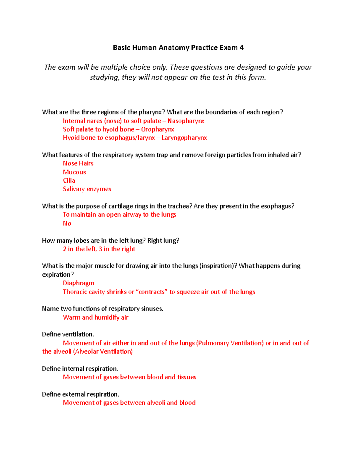 Practice Exam 4 answer key - Basic Human Anatomy Practice Exam 4 The ...