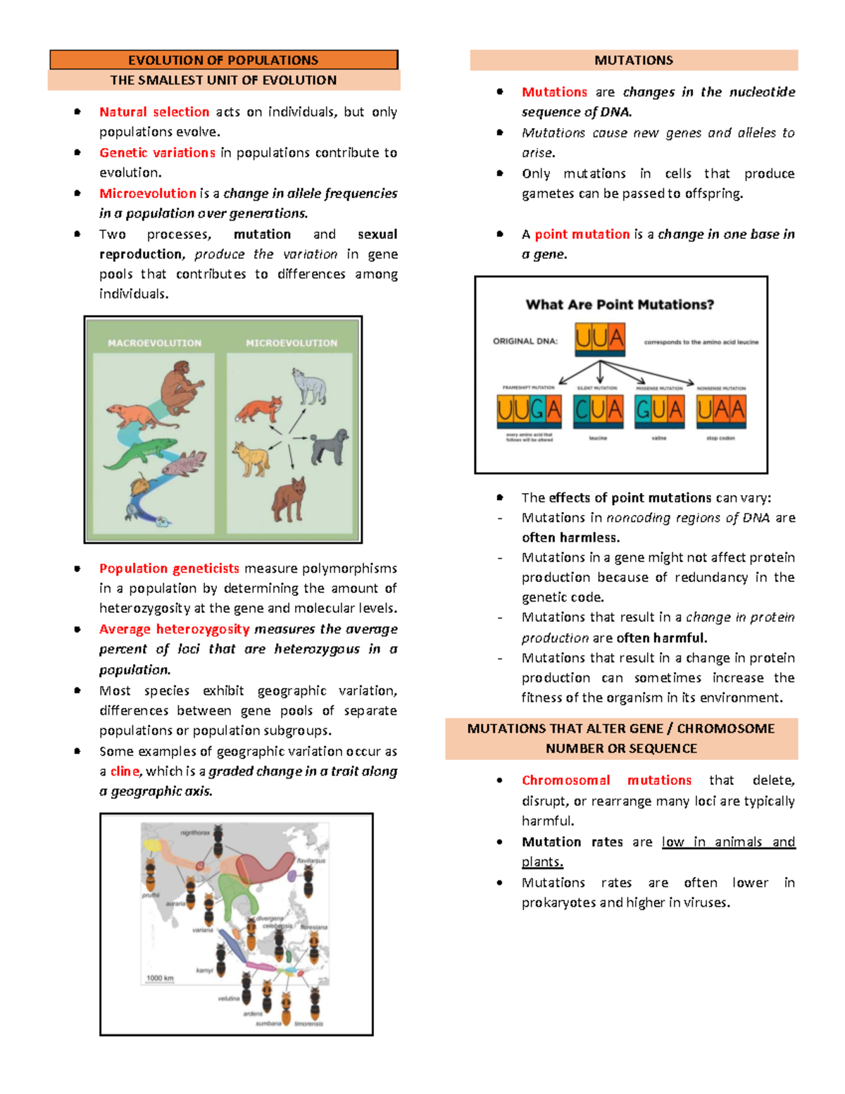 L4- Evolution OF Populations - EVOLUTION OF POPULATIONS THE SMALLEST ...