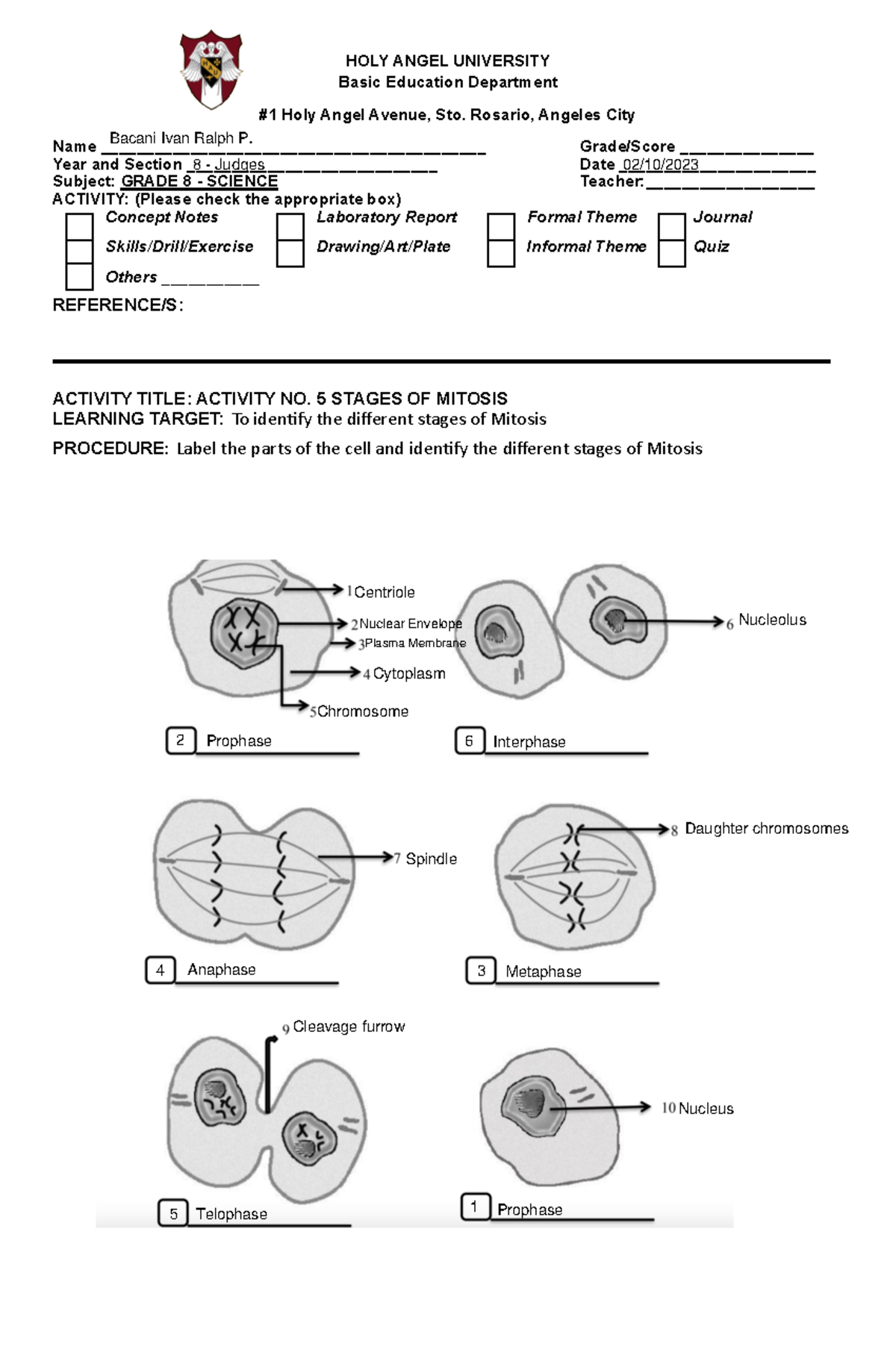 Stages-of-Mitosis - stages of mitosis - HOLY ANGEL UNIVERSITY Basic ...