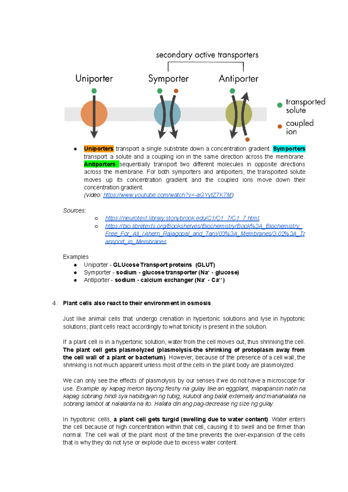 Plant cells - Uniporters transport a single substrate down a ...