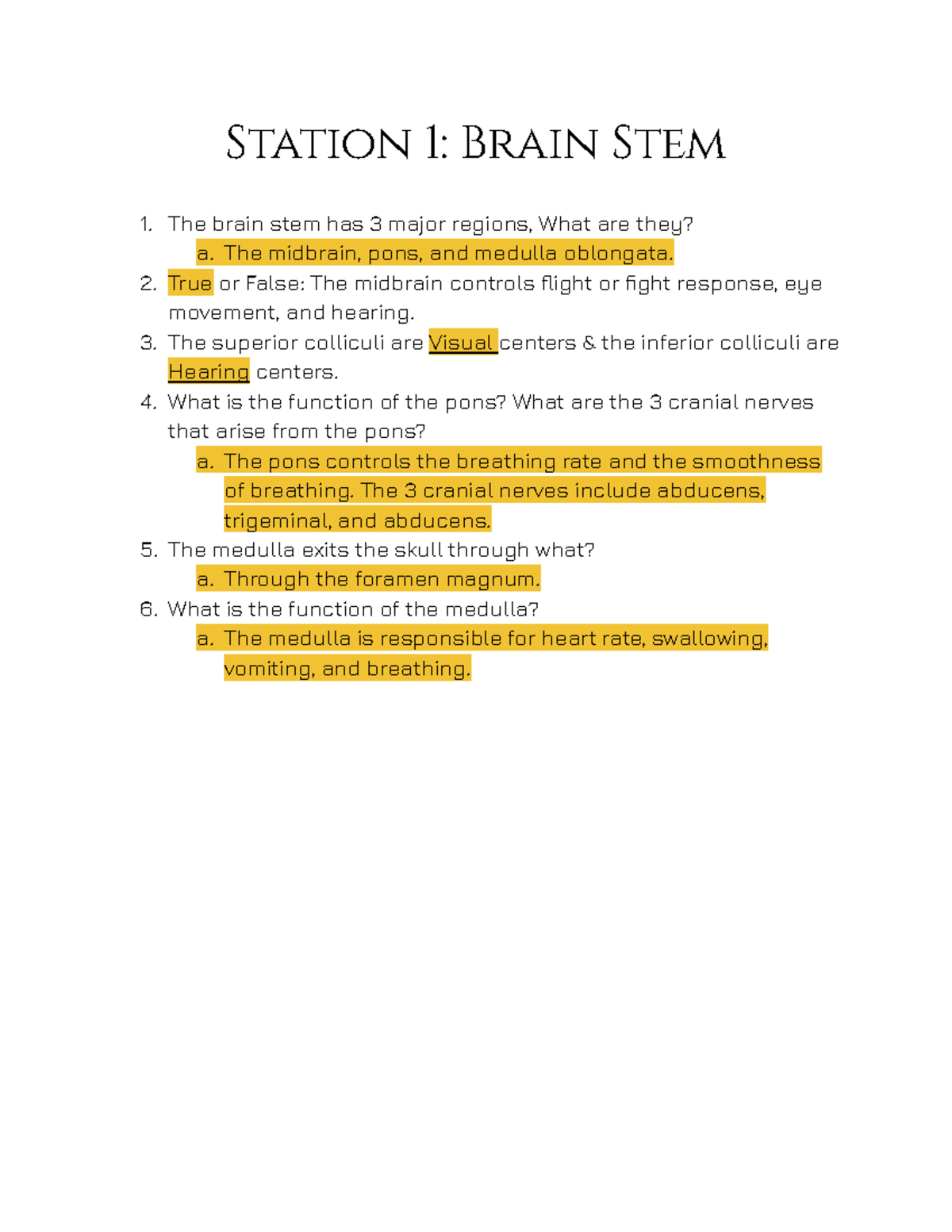 Brain stem and spinal cord - Station 1: Brain Stem The brain stem has 3 ...