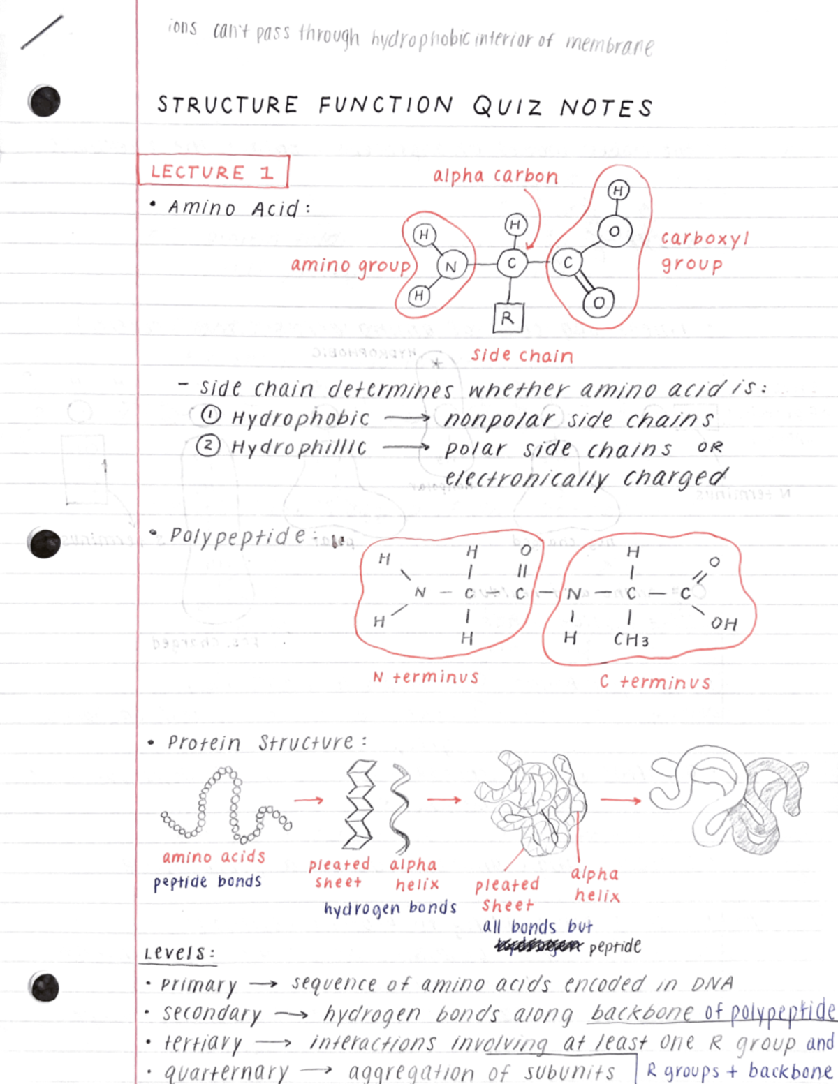 Biology II Lecture Notes (for Structure Function Quiz) - BIOS 10172 ...