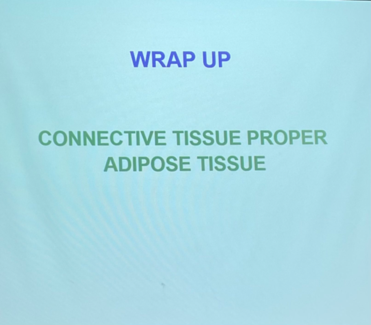 Wrap Up Connective Tissue Proper Adipose Tissue - MBBS - Studocu