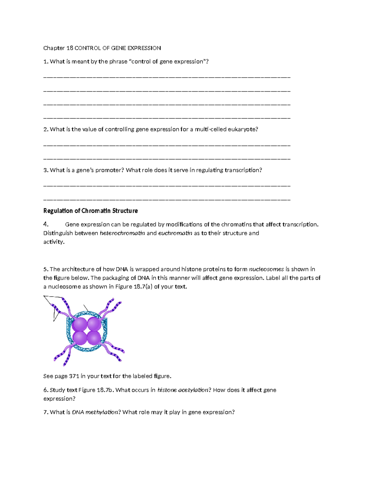 Chapter 18 Participation sheet Control OF Eukaryotic GENE Expression ...