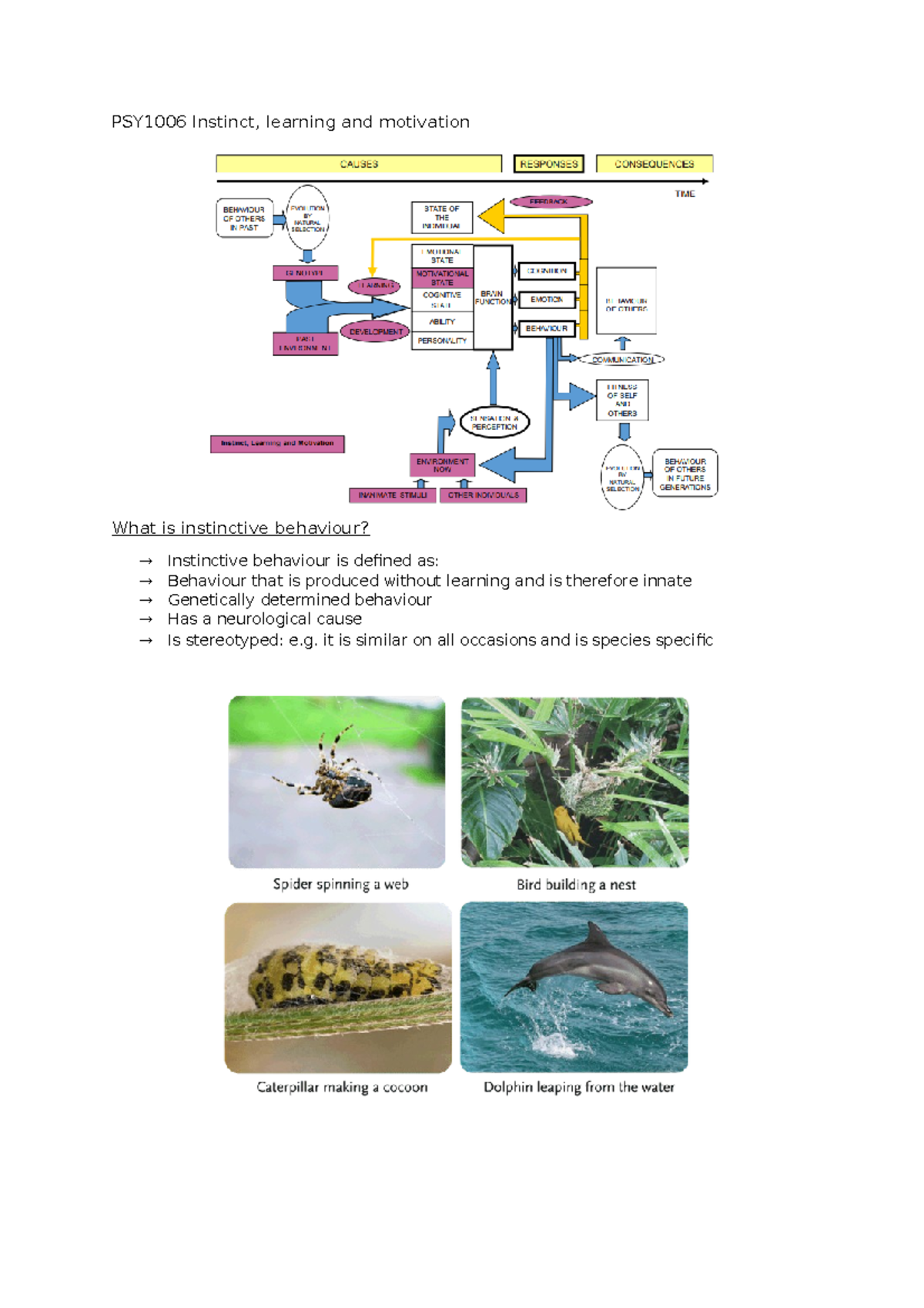 Instinct, Learning and Motivation: Introduction - PSY1006 Instinct ...